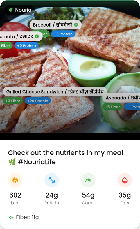 Nouria: AI Calorie Counter, Intermittent Fasting & Gut Health Tracker